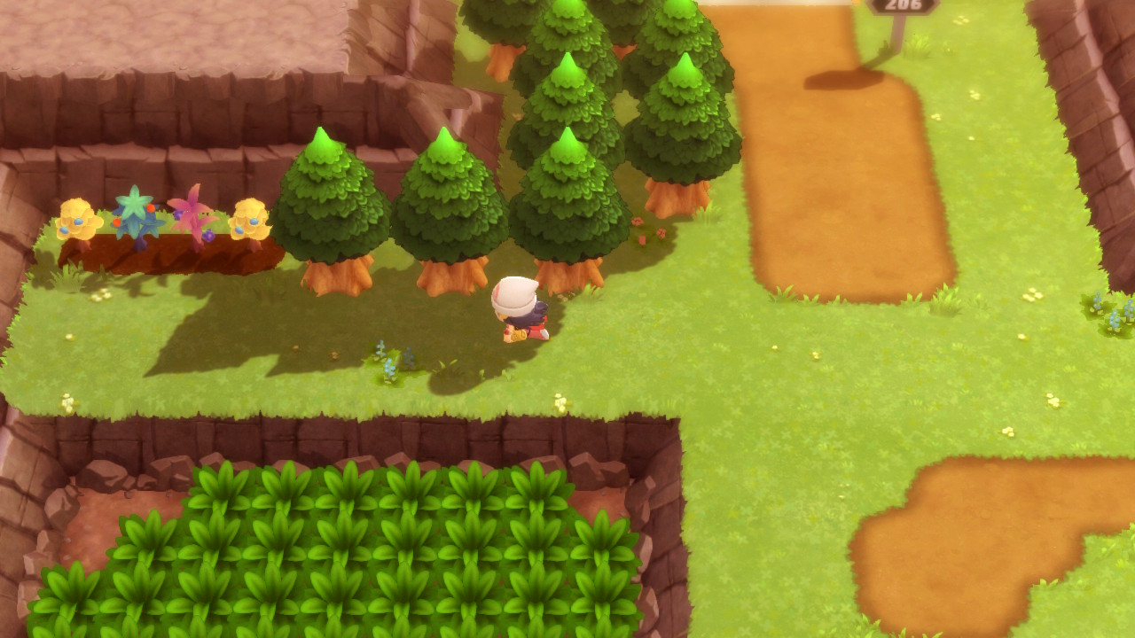 Routendex - Route 207 (Sinnoh)